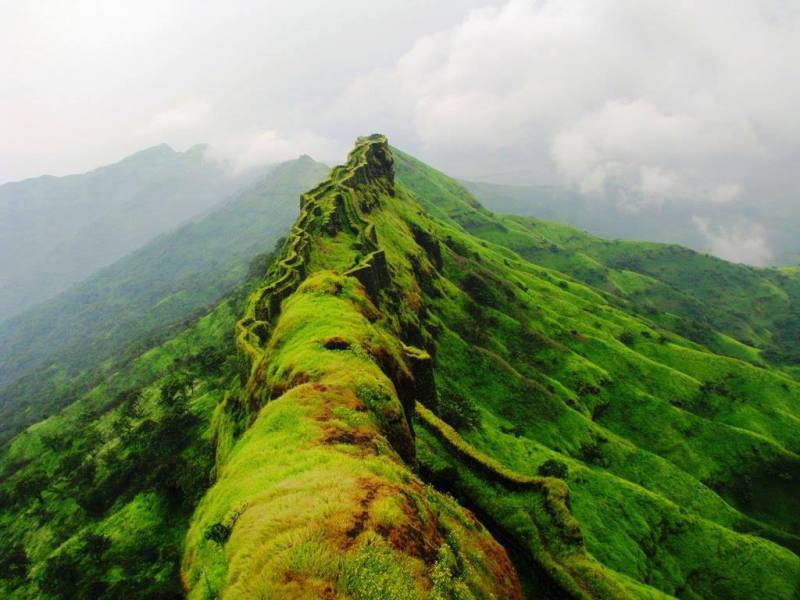 Rajgad Fort Trek Tripplatform Rajgad Fort Trek Tripplatform