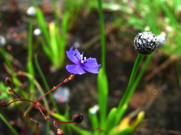 Kansai Waterfall - Roha | TripPlatform